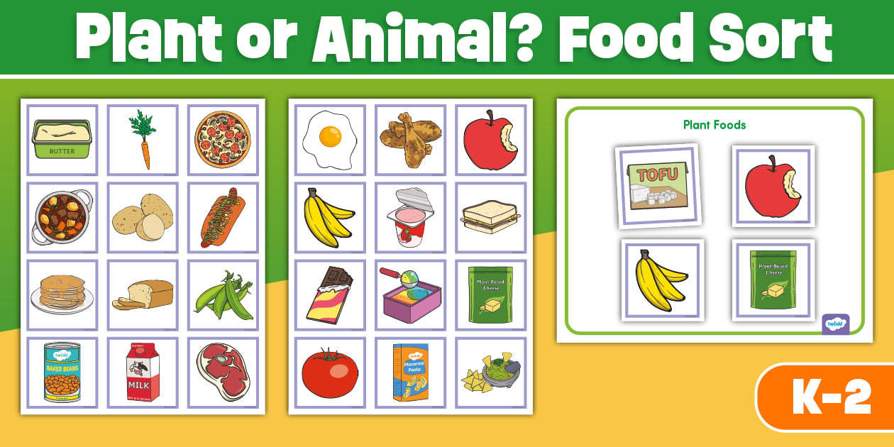 Plant or Animal? Food Origins Sorting Activity