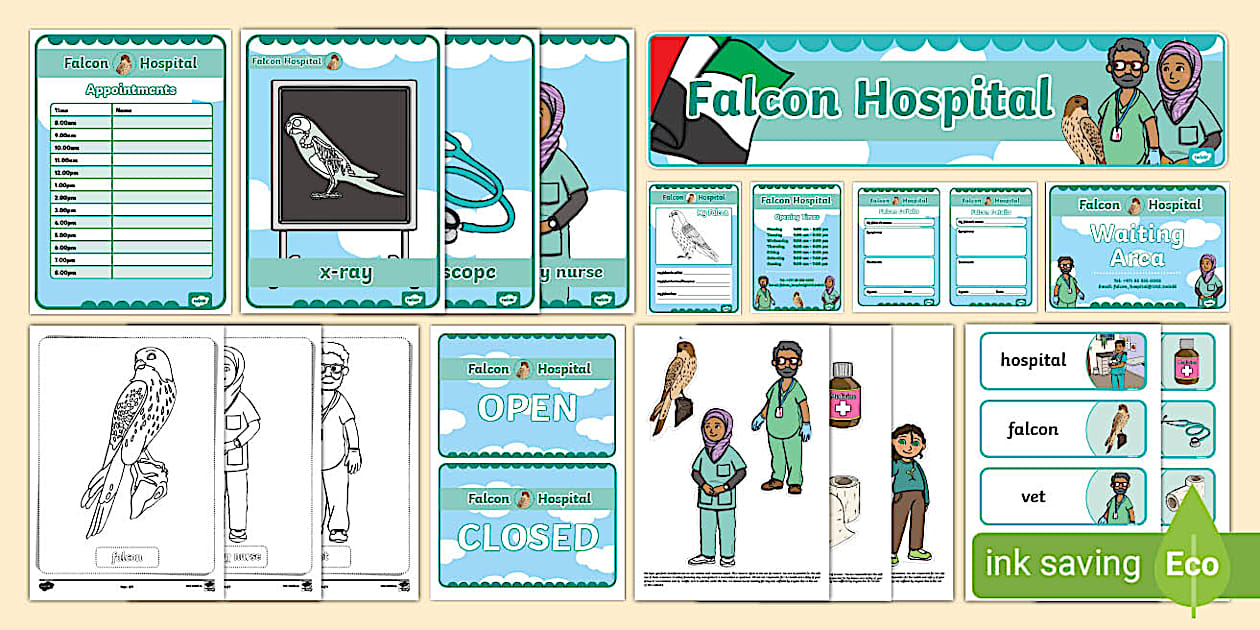 Falcon Hospital Role Play Pack (teacher made) - Twinkl