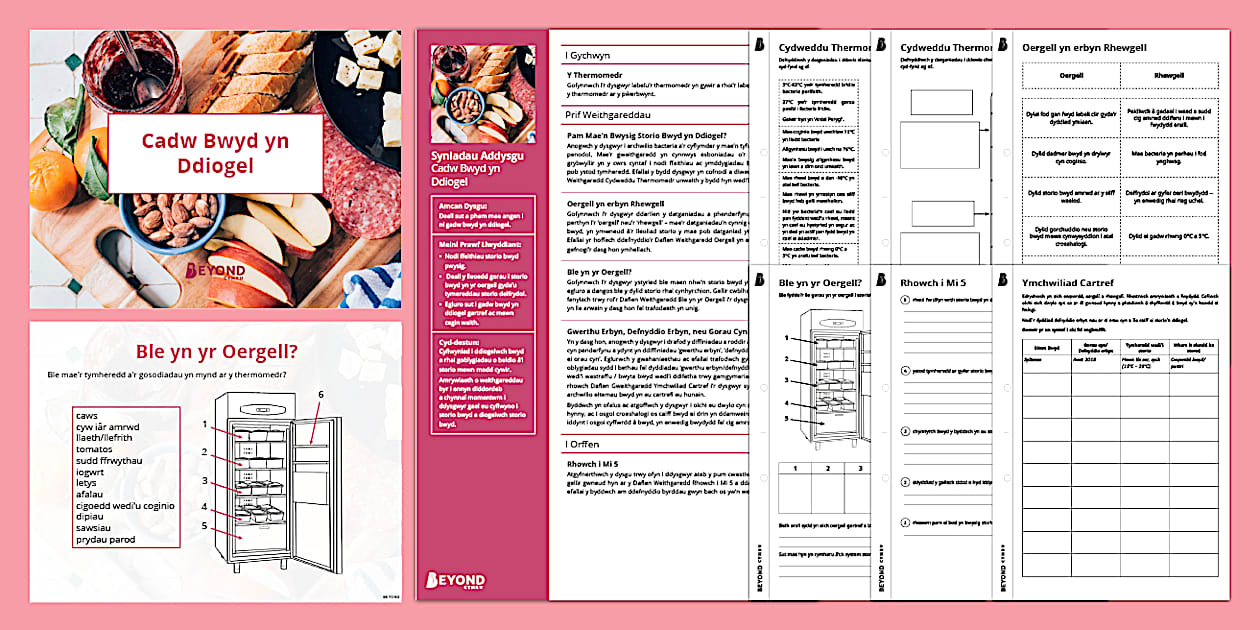 Pecyn Dysgu Cadw Bwyd yn Ddiogel (teacher made) - Twinkl