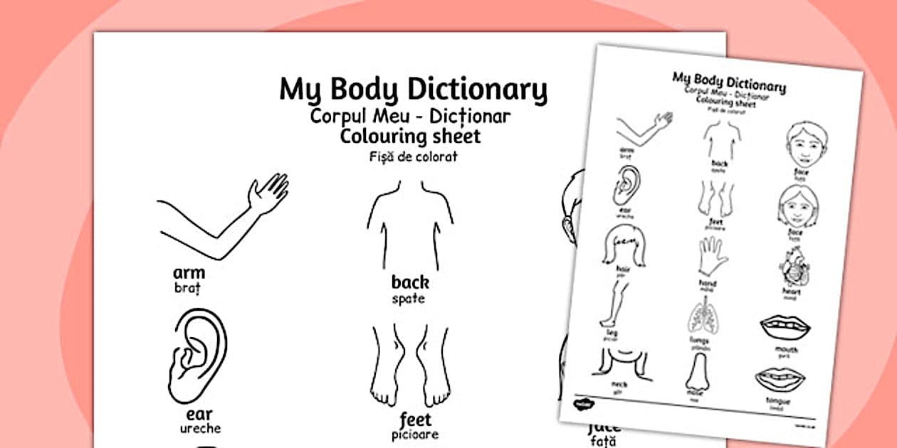 My Body Dictionary Colouring Sheet Romanian Translation - romanian