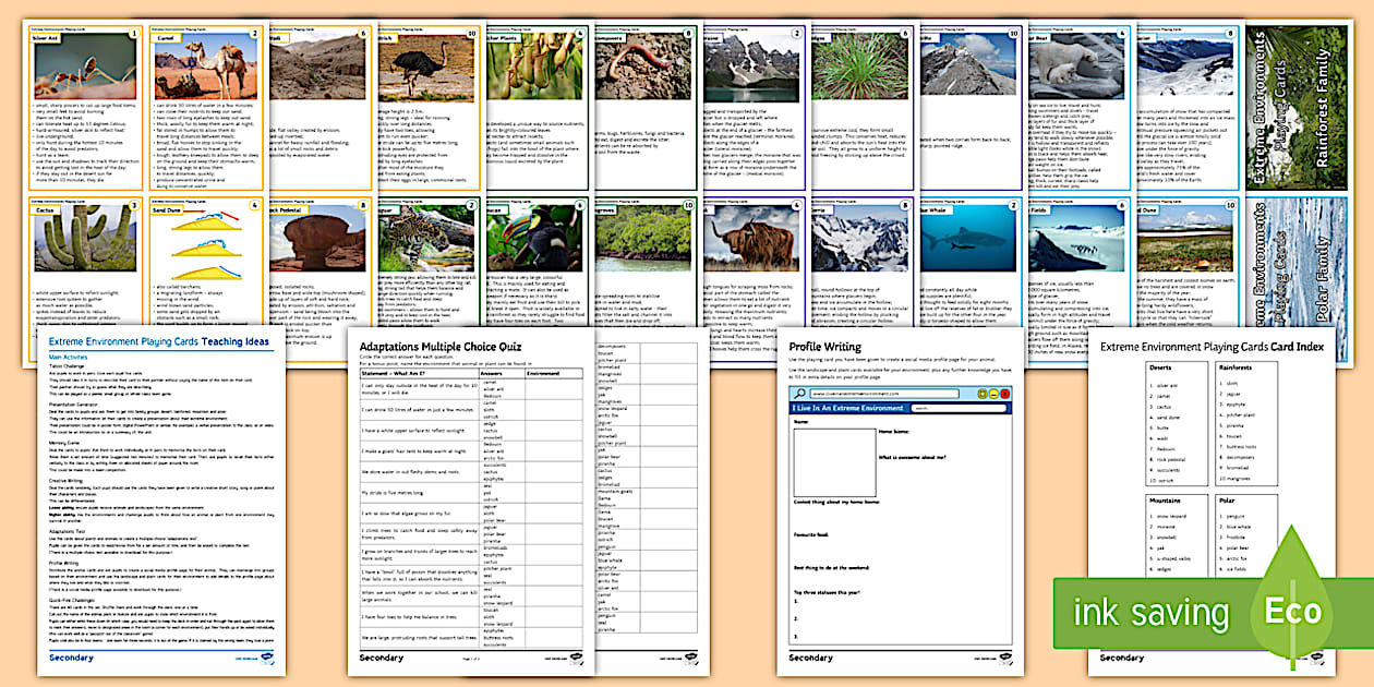 Extreme Environments Playing Cards Activity | Geography