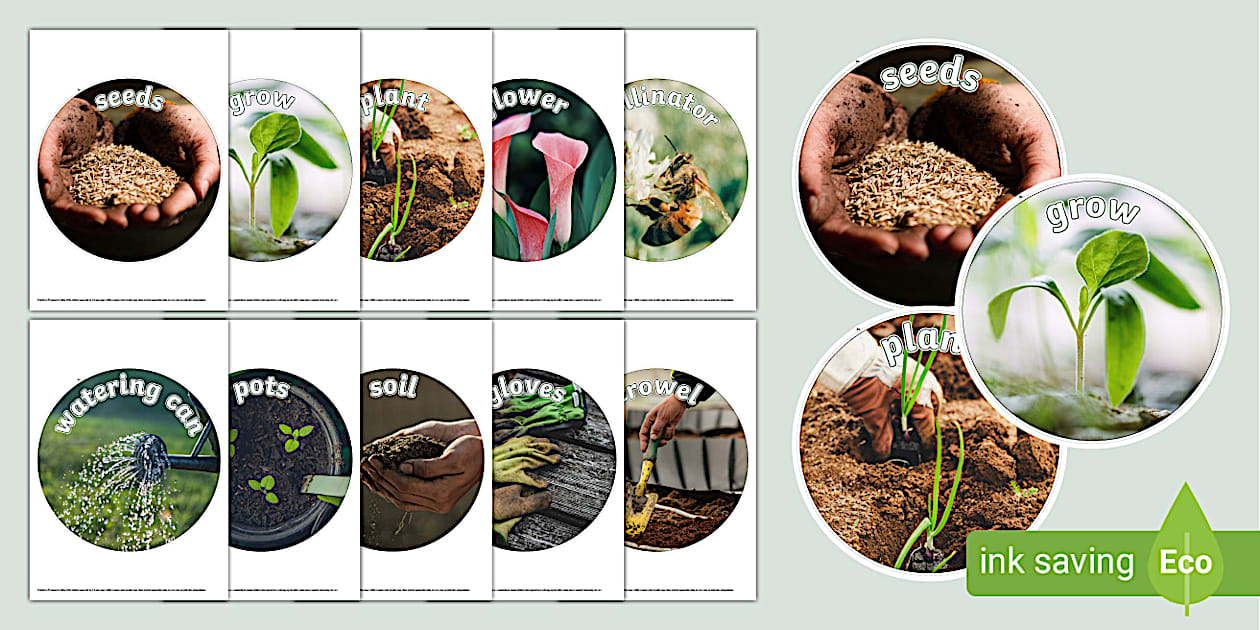 Garden Display Circle Photo Cut-Outs (teacher made) - Twinkl