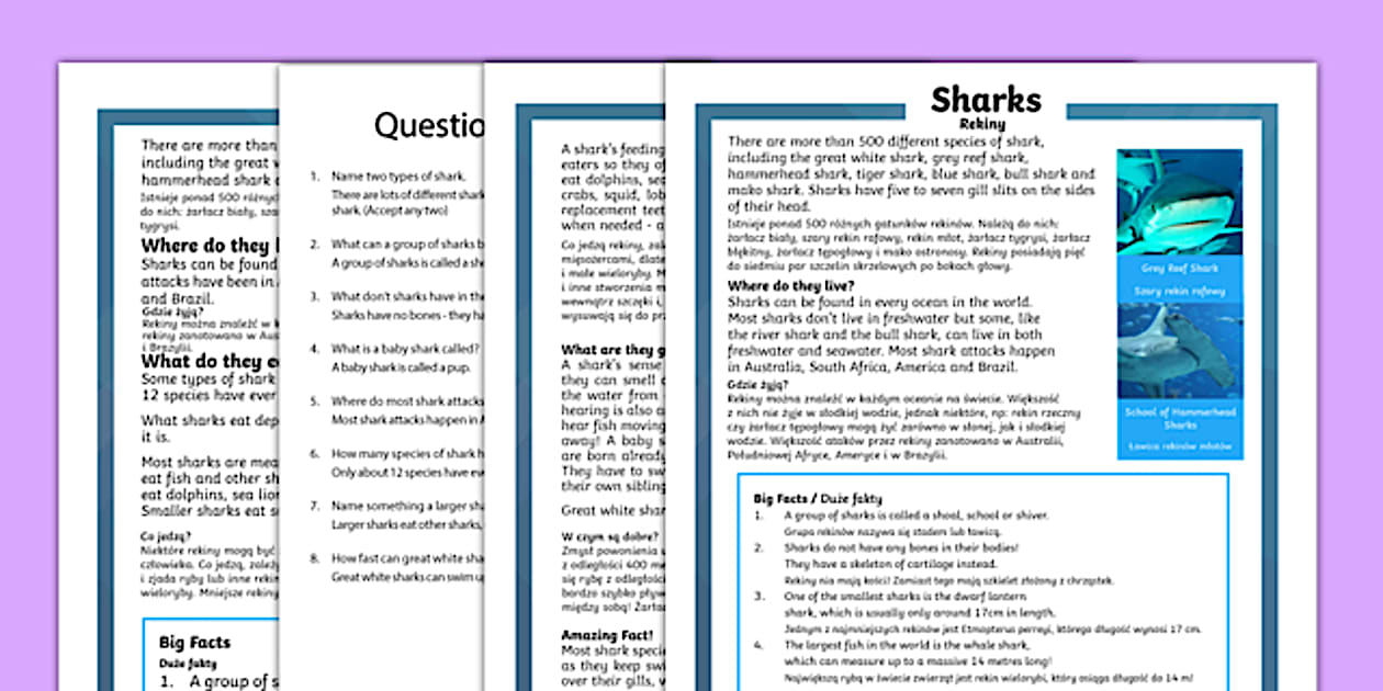 Middle Ability Sharks Differentiated Reading Comprehension Activity Polish