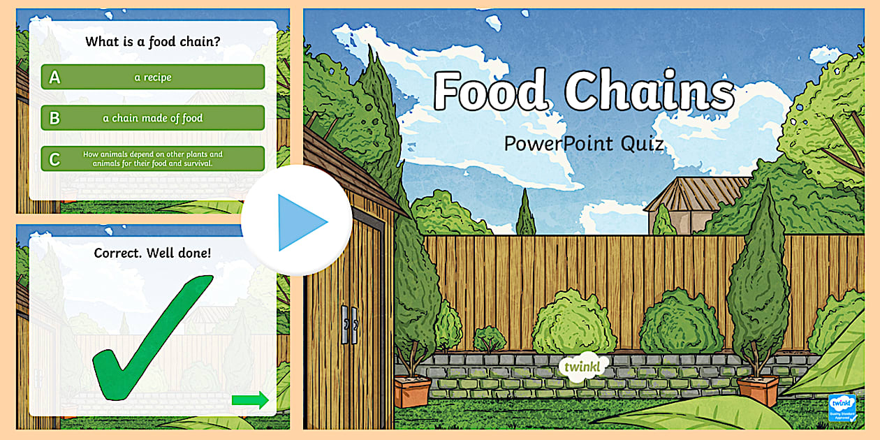 Science Food Chains PowerPoint Quiz - Kids (teacher made)