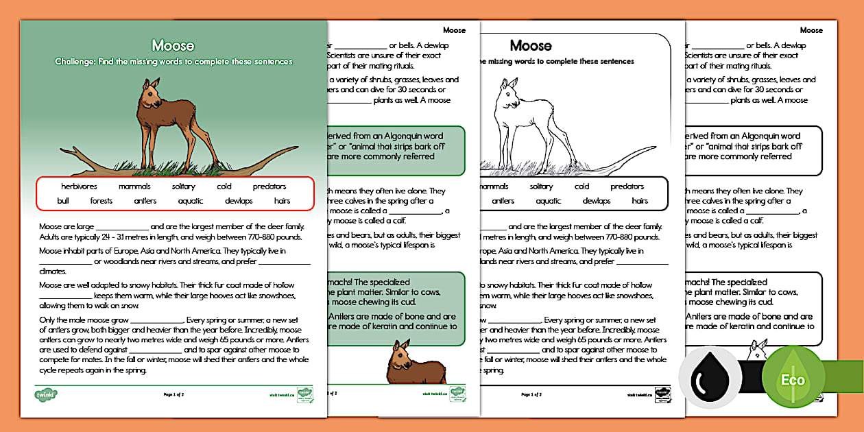 Moose Cloze Activity (teacher made) - Twinkl