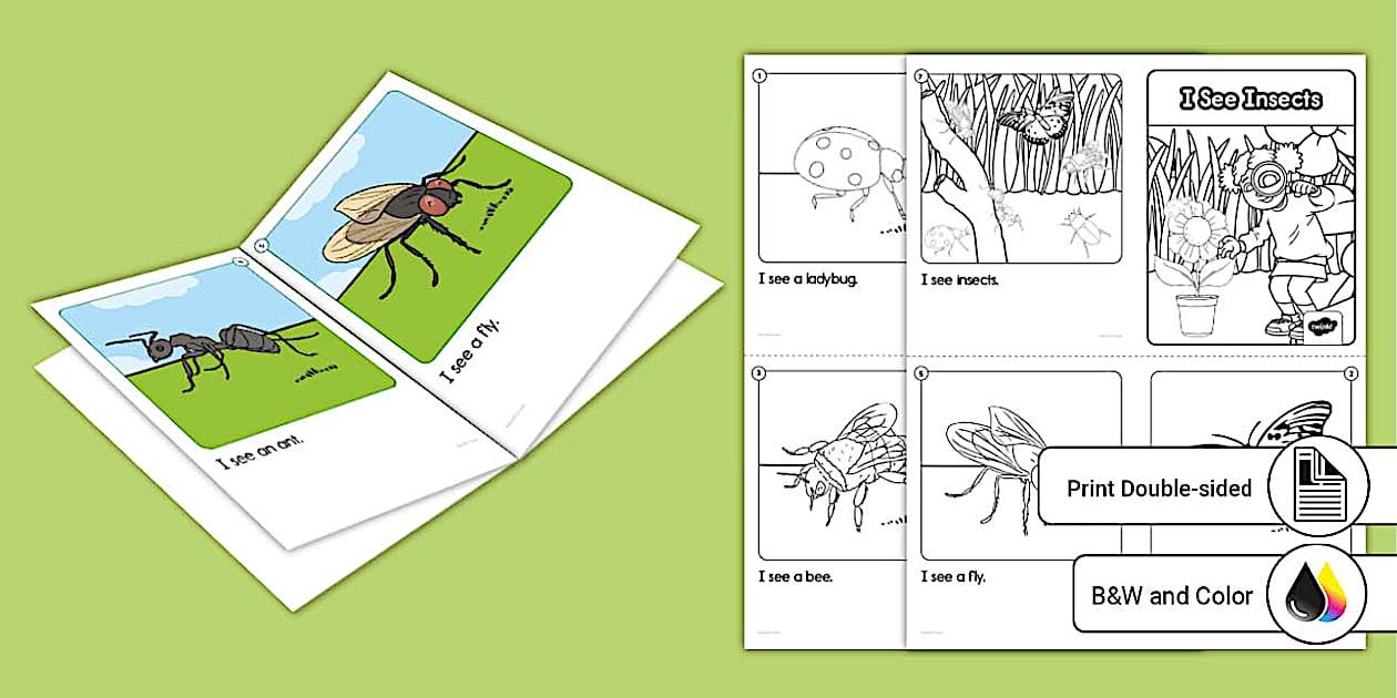 I See Insects Early Emergent Reader (Teacher-Made) - Twinkl