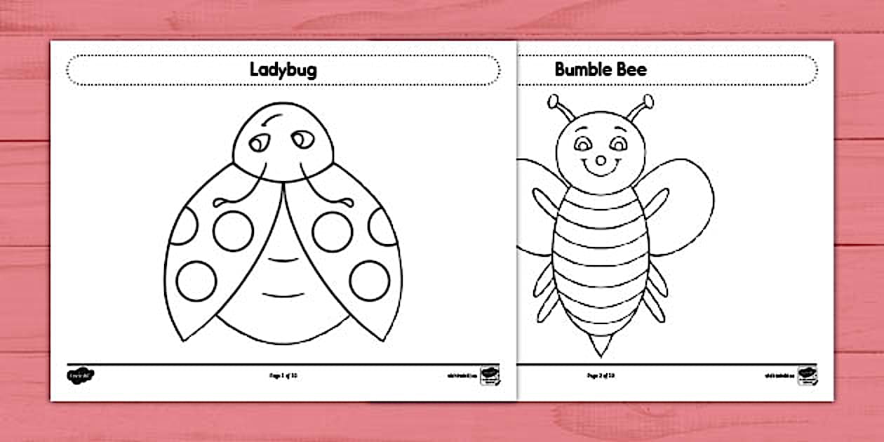 Bugs and Insects Colouring Pages (teacher made) - Twinkl