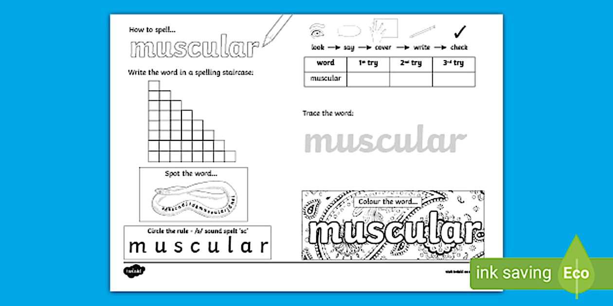 How to Spell Muscular Activity Sheet (teacher made) - Twinkl
