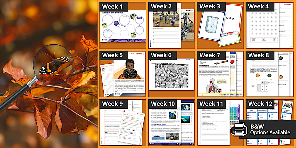 Science Form Time Activities Pack (teacher made) - Twinkl