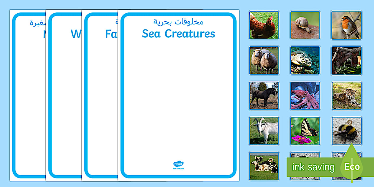 Sea Creatures, Farm Animals, Wild Animals and Minibeasts Sorting Activity