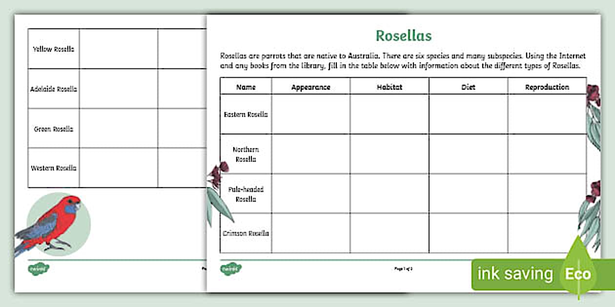 Rosella Research Sheet (teacher made) - Twinkl