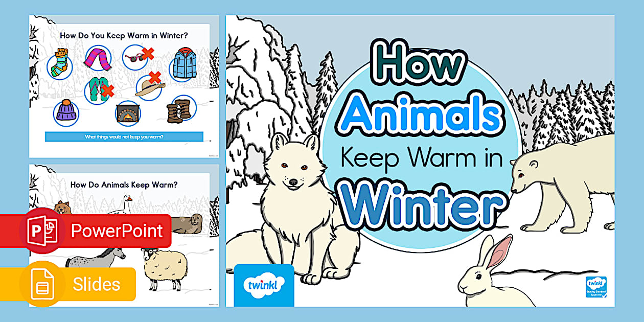 How Do Animals Stay Warm in Winter PowerPoint | Twinkl USA