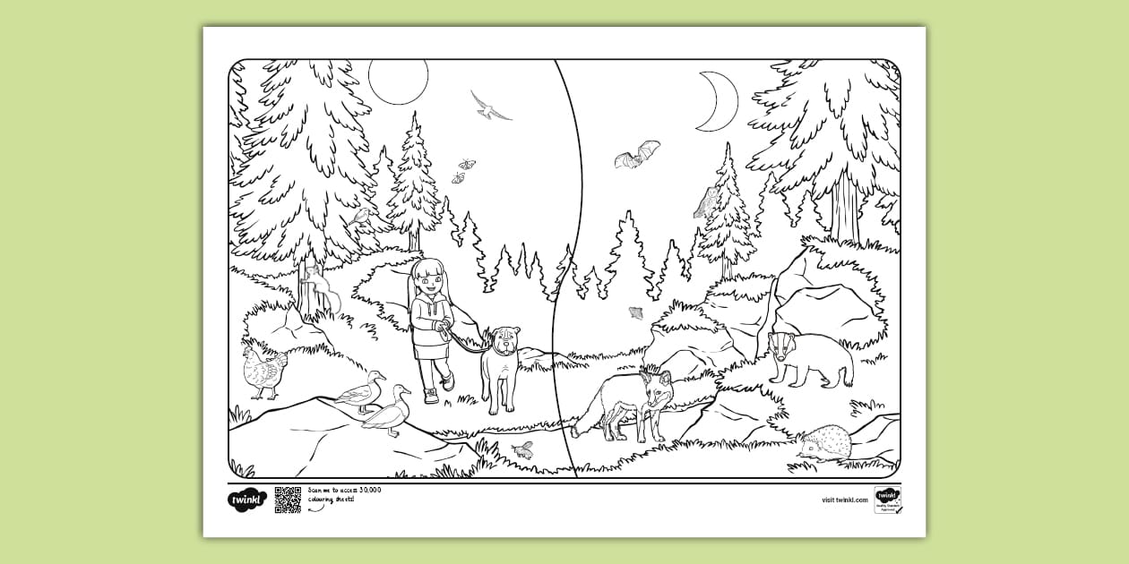 Day and Night Colouring Page, Day and Night (teacher made)
