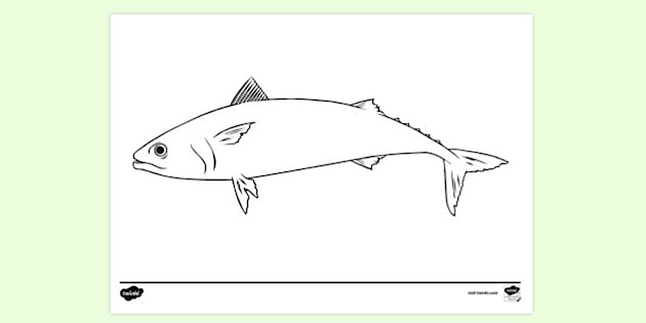 Mackerel Fish Colouring Sheet | Colouring Sheets - Twinkl