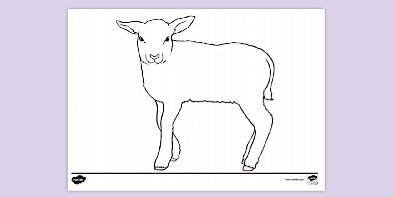 Little Lamb Colouring Sheet | Colouring Sheets - Twinkl
