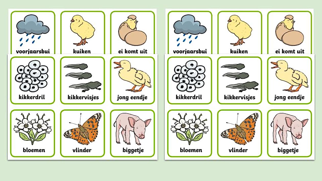 Lente Memory Spel voor Kinderen en Kleuters (teacher made)