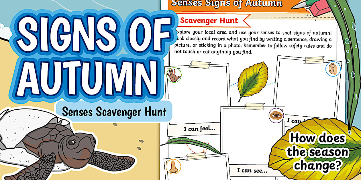 * NEW * Signs of Autumn - Senses Scavenger Hunt