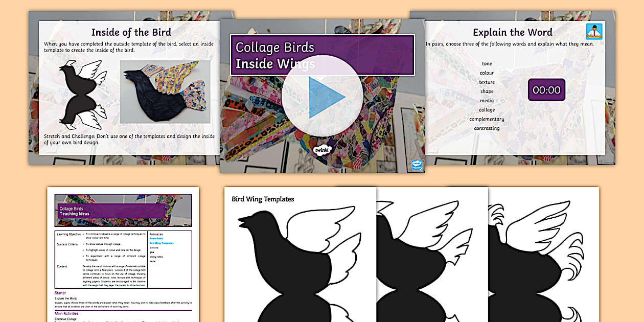 Collage Birds Lesson 3: Bird Wings (teacher made) - Twinkl