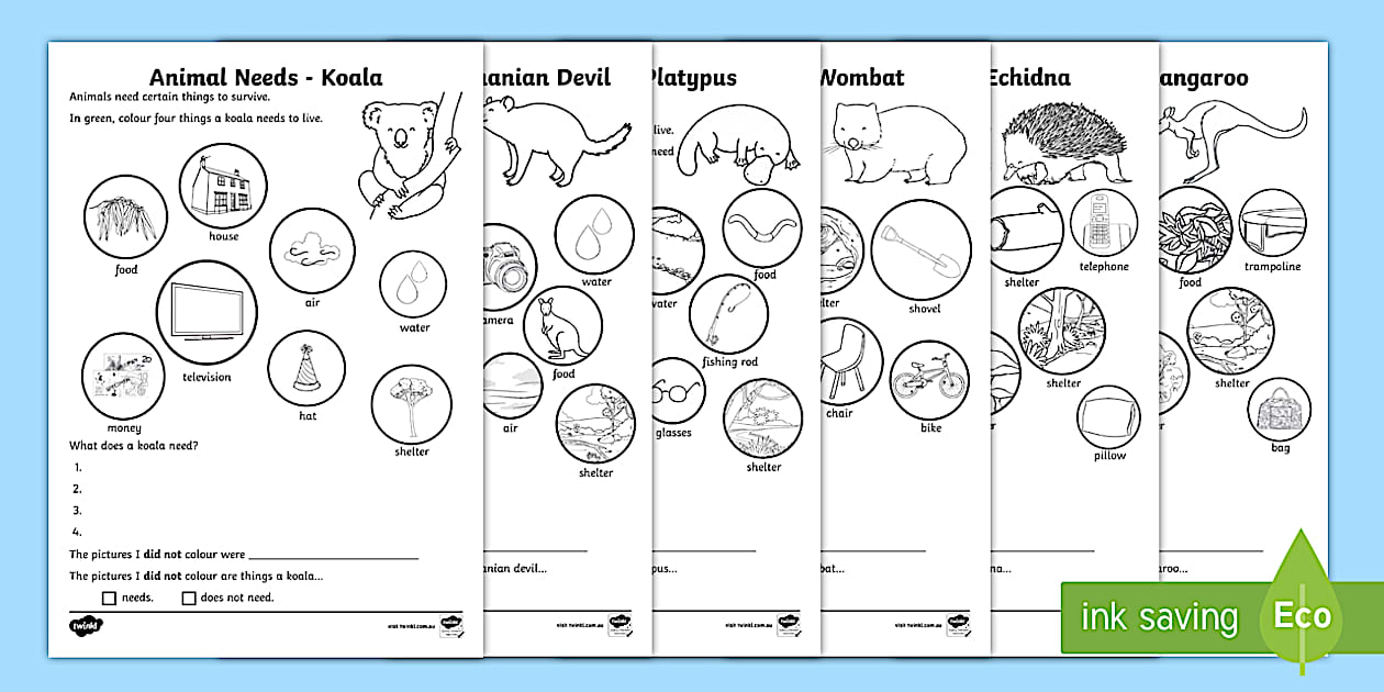 NSW Australian Animals Needs Worksheets (teacher made)