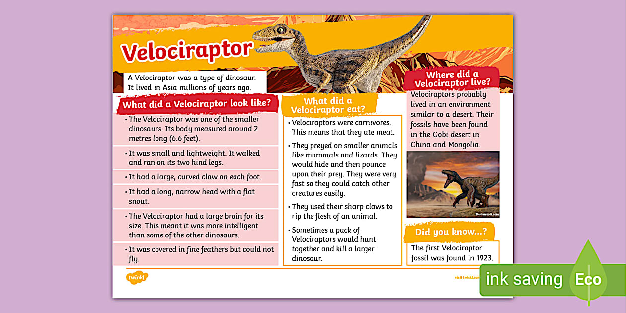Velociraptor Fact File - Dinosaurs (teacher made) - Twinkl
