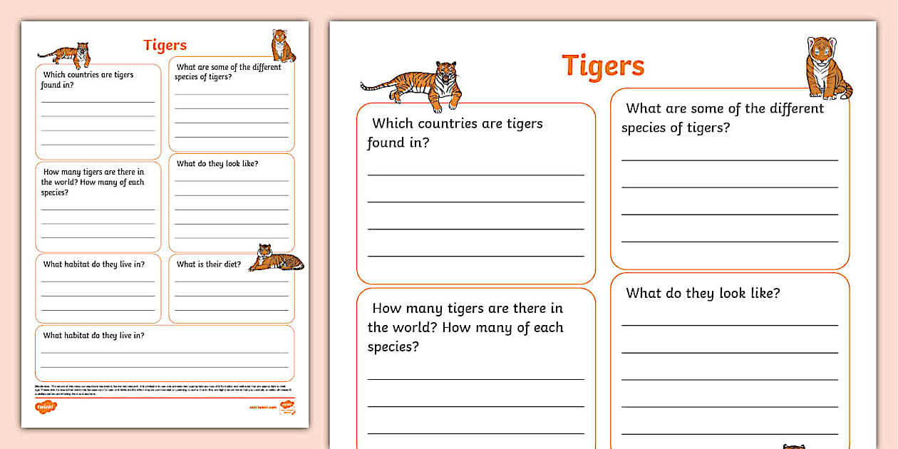 Tigers - Fact File Template (teacher made) - Twinkl