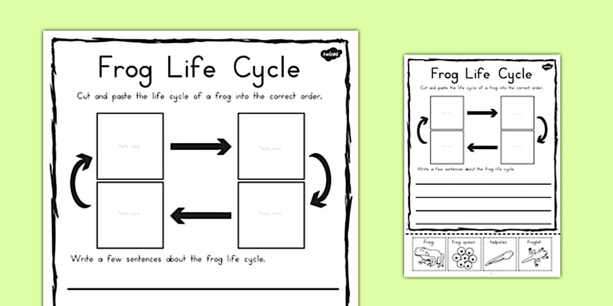 Frog Life Cycle Sentence Writing Worksheet / Worksheet