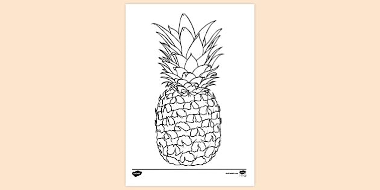 Free Printable Pineapple Colouring Page (teacher made)