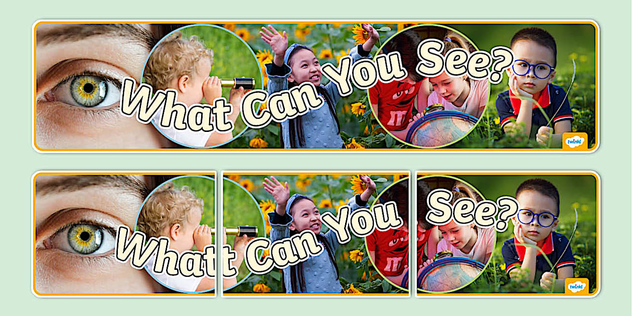 What Can You See? Banner (Teacher-Made) - Twinkl