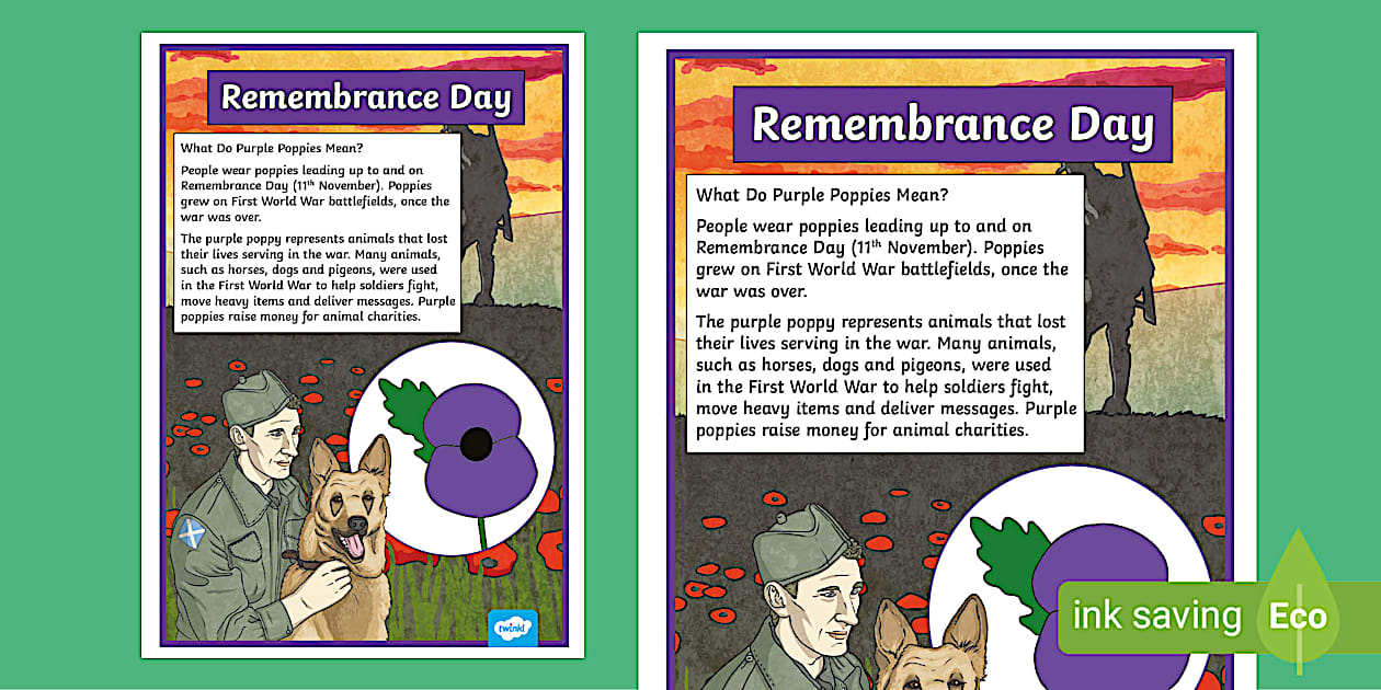 Remembrance Day - Purple Animal Poppy Display Poster