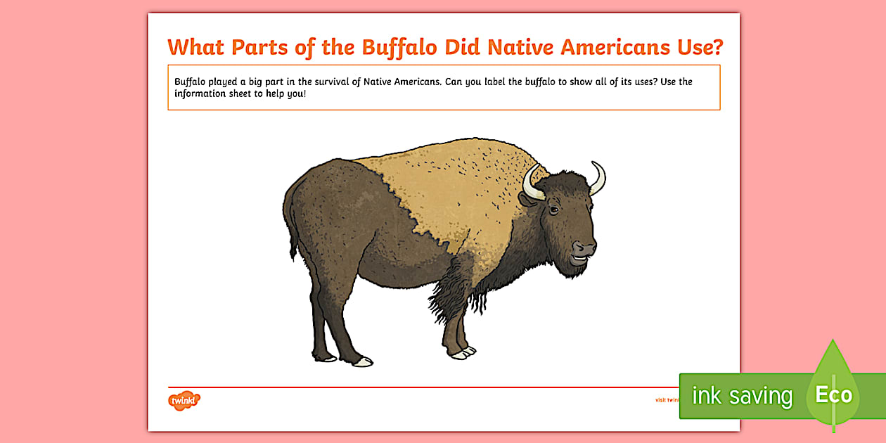 Native Americans Buffalo Labelling Worksheet / Worksheet-Scottish