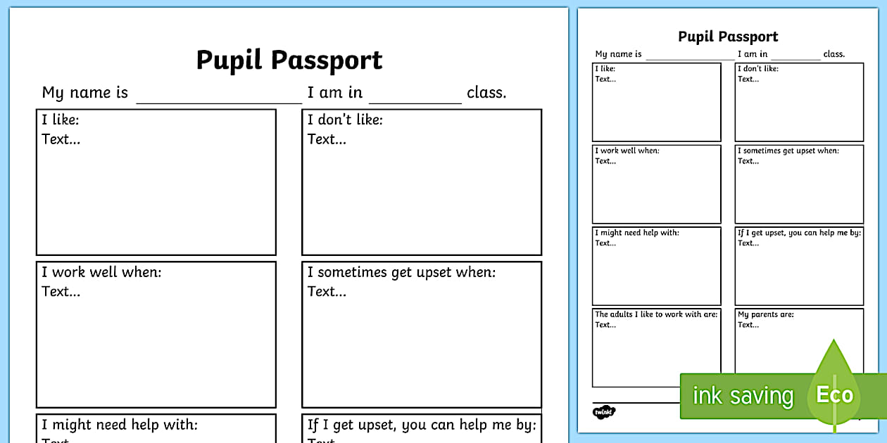 ROI Transition Proforma for SEN and EAL Children Editable Proforma