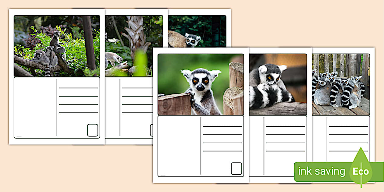Lemur Themed Postcards (teacher made) - Twinkl