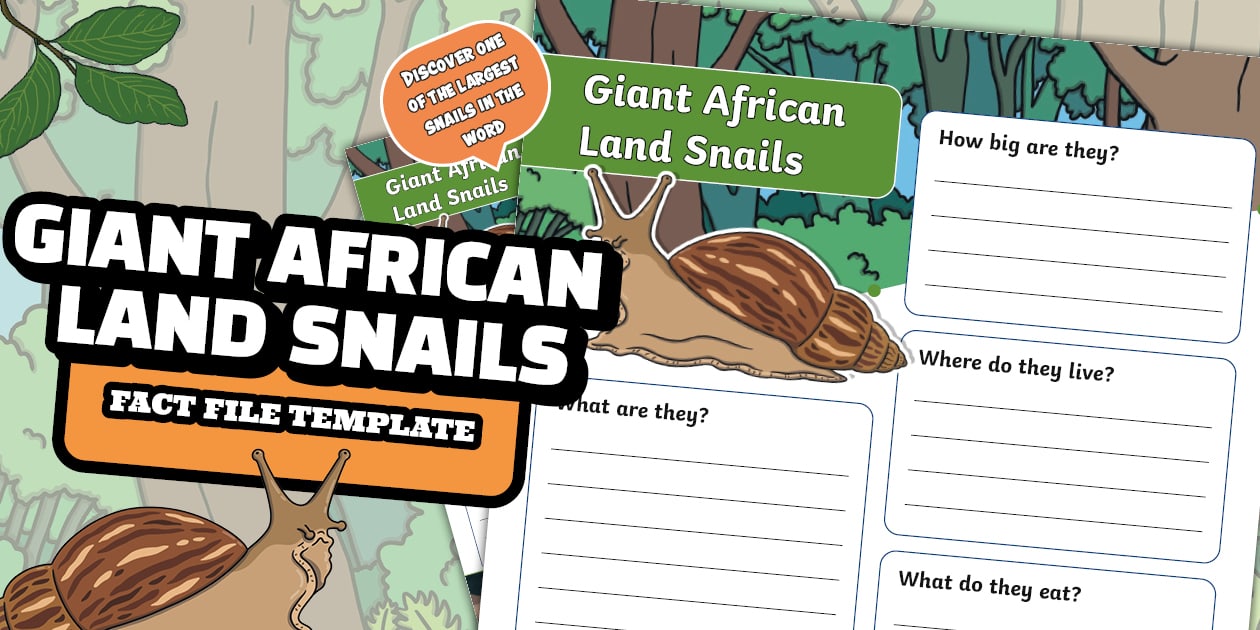 Life Skills - Giant African Land Snails Fact File Template