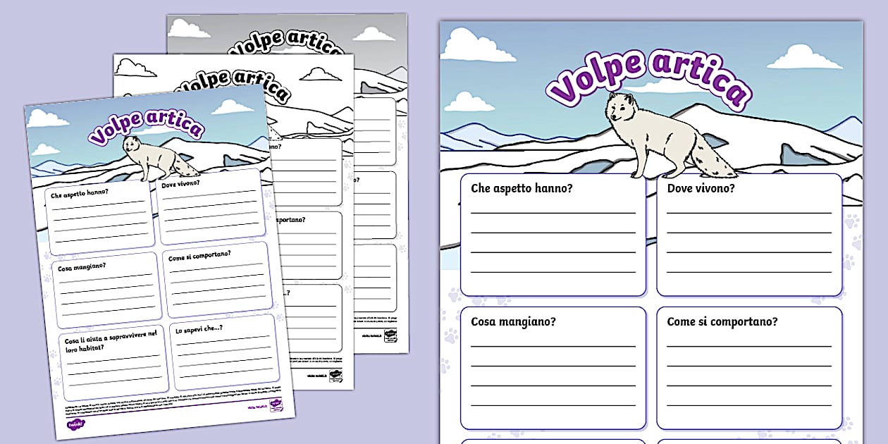 Modello di scheda informativa: Volpe artica (teacher made)