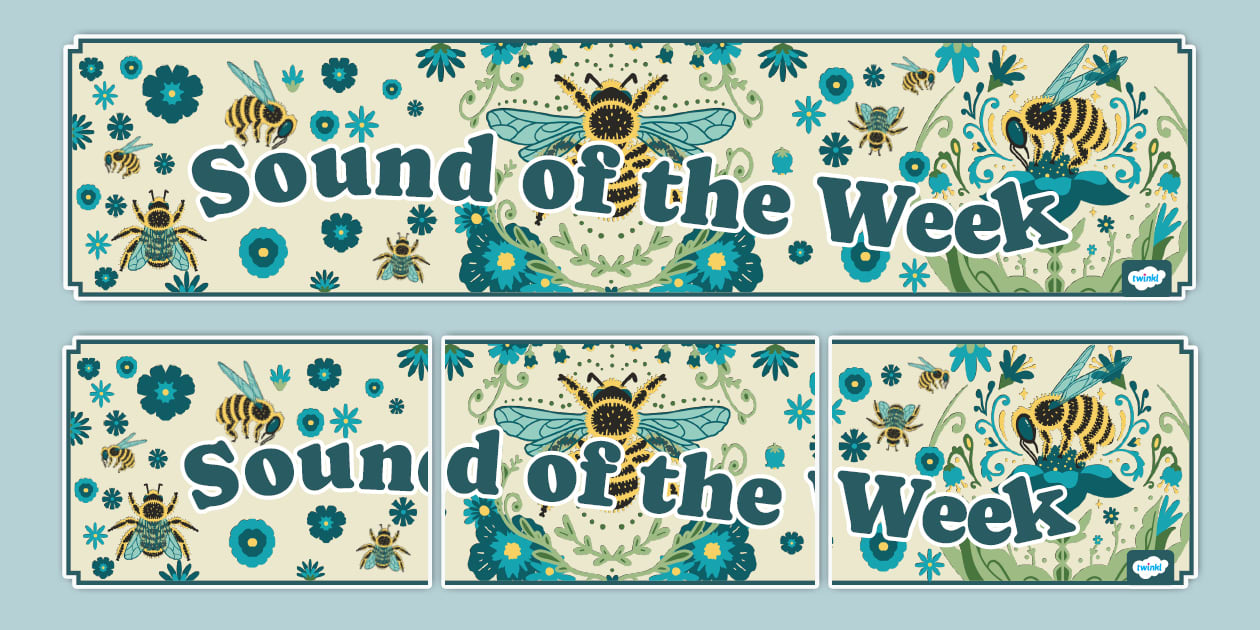 Bee-Themed Sound of the Week Display Banner - Twinkl