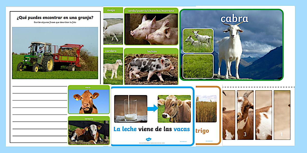 Paquete de recursos de animales de granja Montessori
