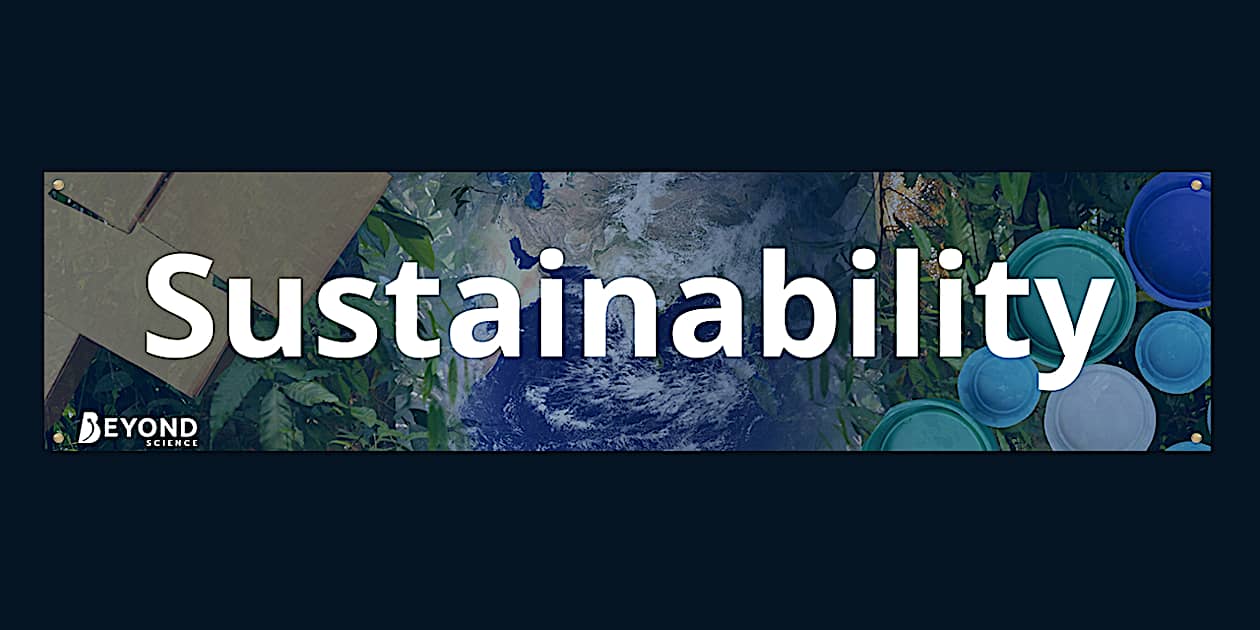 Sustainability Display Banner (professor feito) - Twinkl