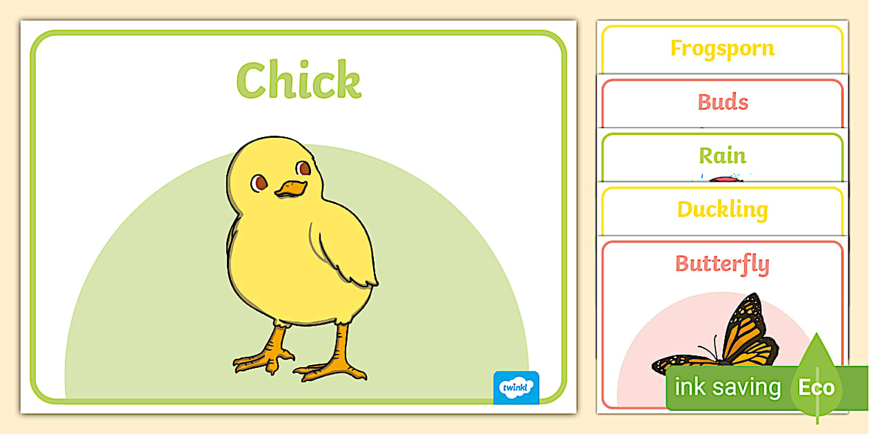 Spring Class Group Signs (Teacher-Made) - Twinkl