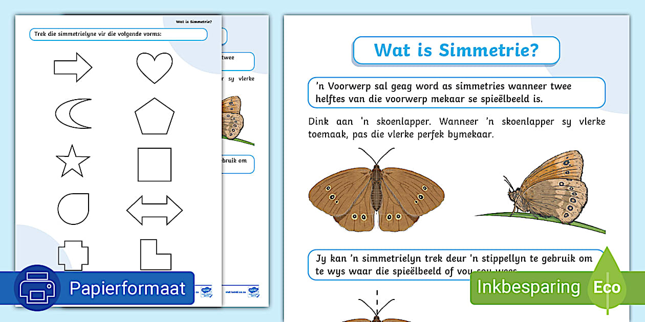 Wat Is Simmetrie? - Aktiwiteit (teacher made) - Twinkl