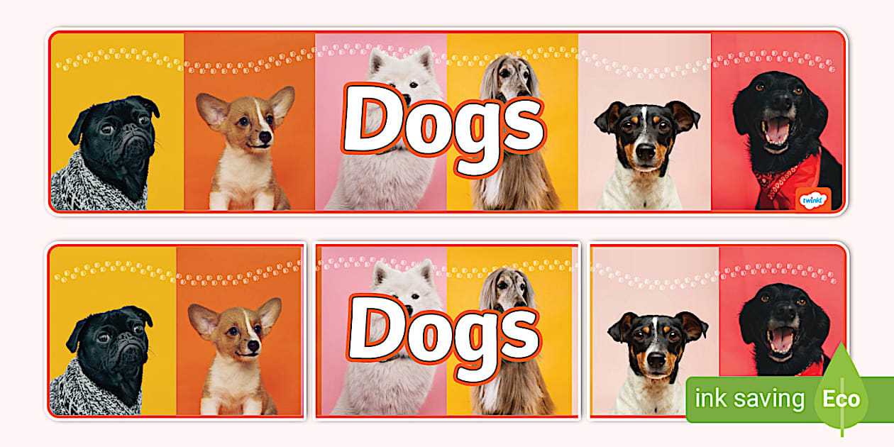 Dogs Photo Display Banner (teacher made) - Twinkl