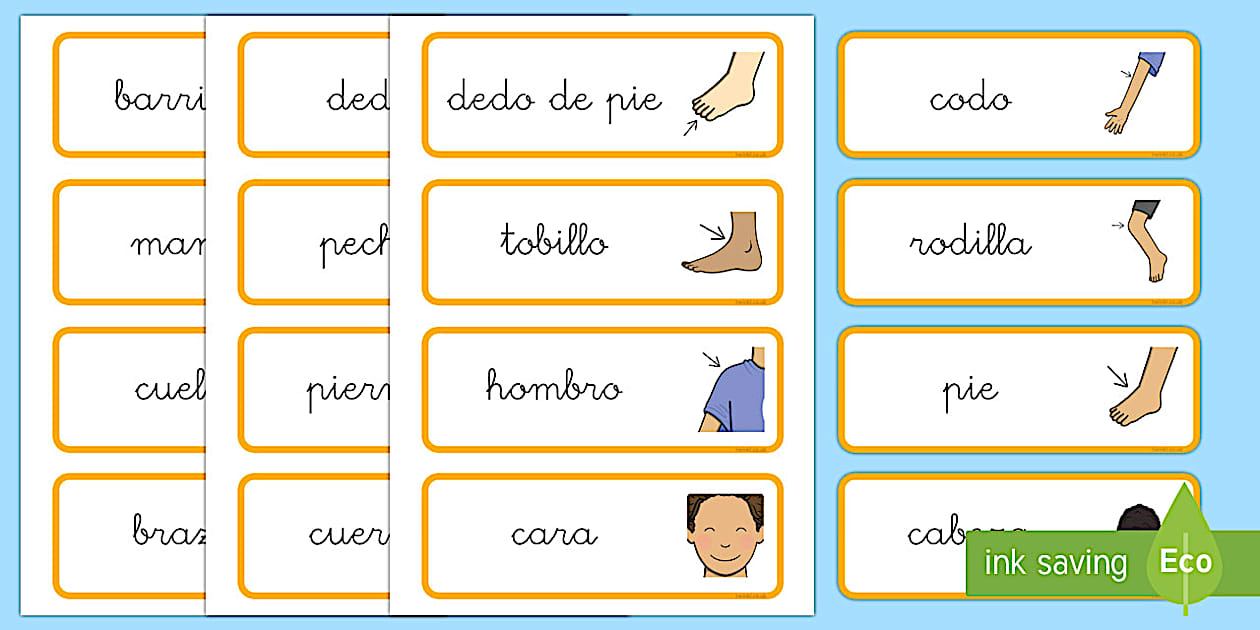 Tarjetas de vocabulario: El Cuerpo y la salud - Twinkl