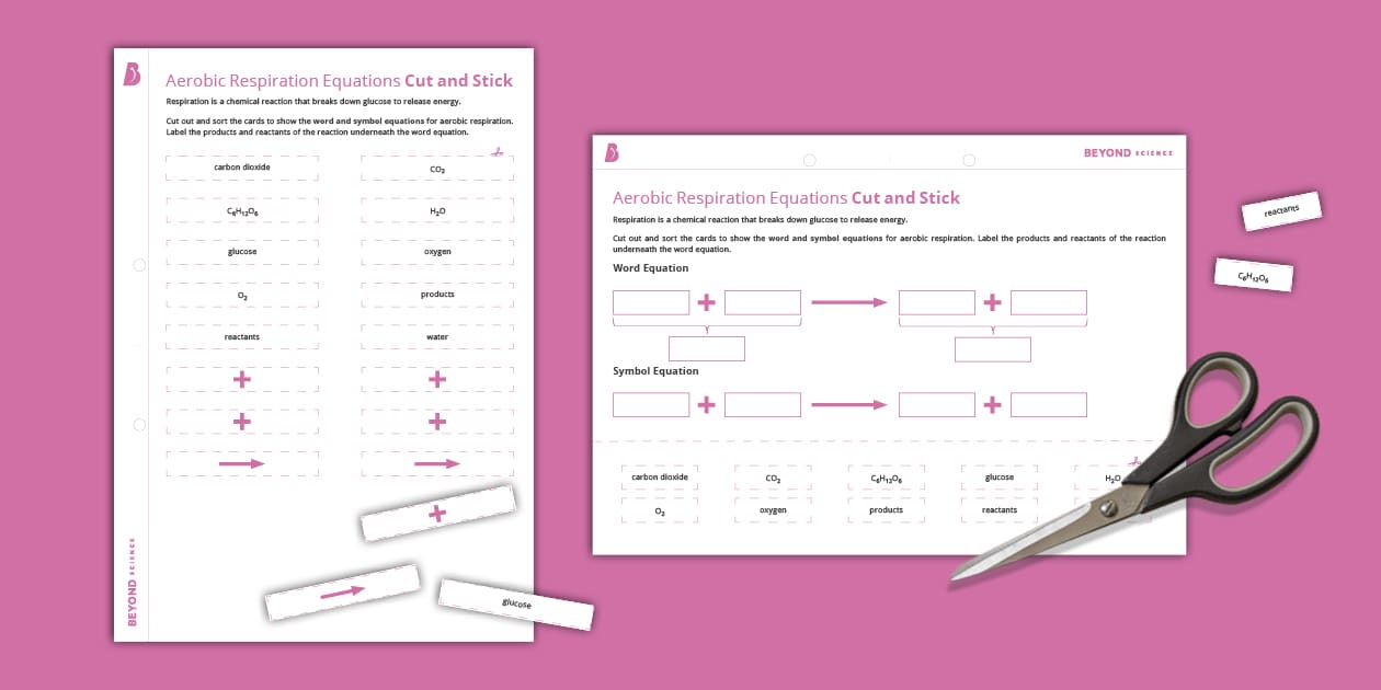 Aerobic Respiration Equations Cut and Stick | Beyond Science