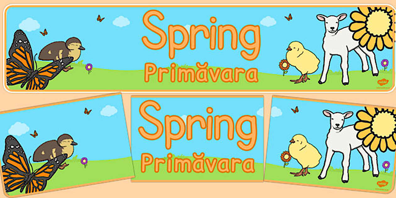 Spring Display Banner Romanian Translation (teacher made)