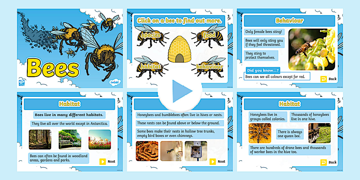 Bee Facts PowerPoint - Twinkl - KS1 (teacher made) - Twinkl