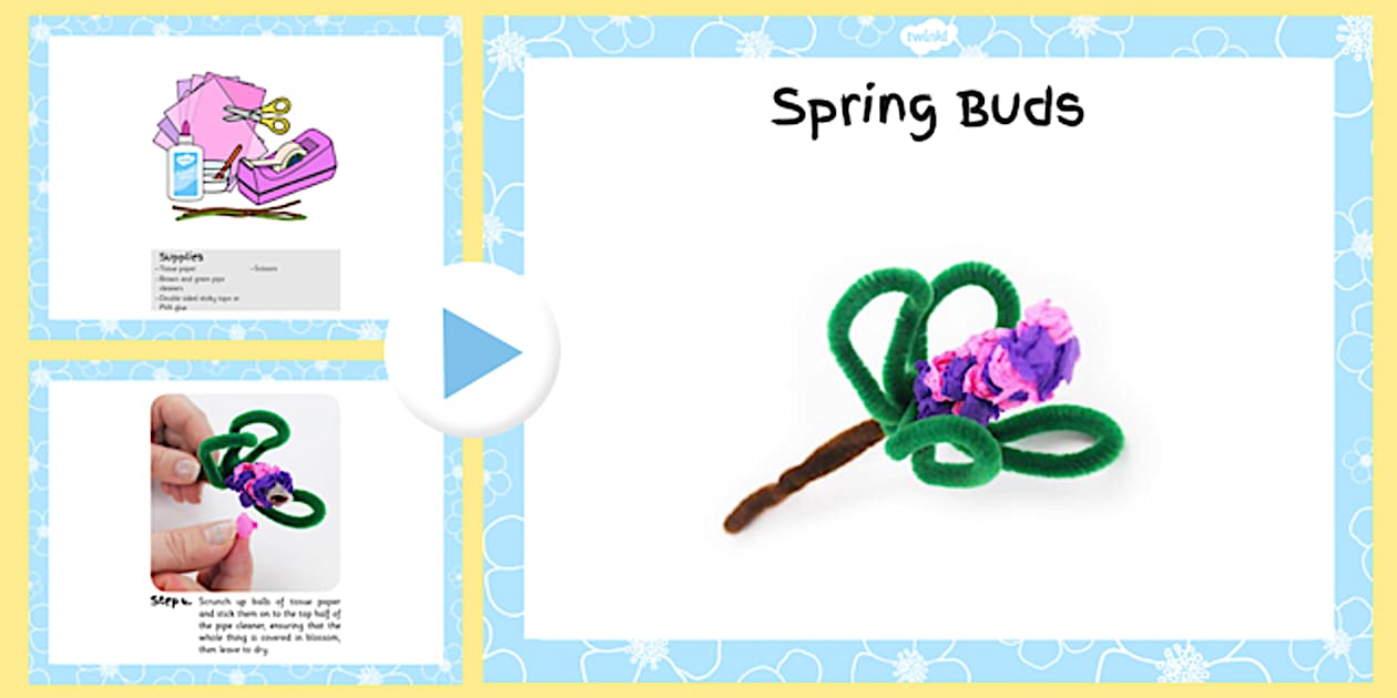 Spring Buds Craft Instructions PowerPoint (Teacher-Made)