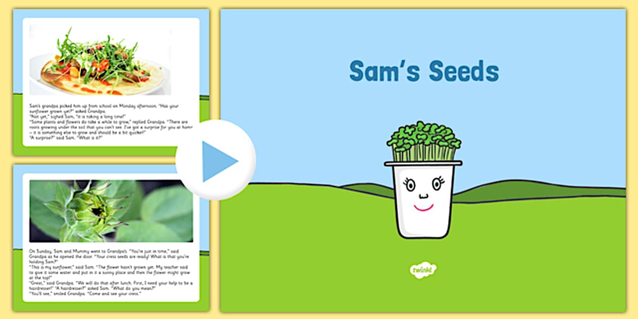 Sam's Seeds Story PowerPoint (Hecho por educadores) - Twinkl
