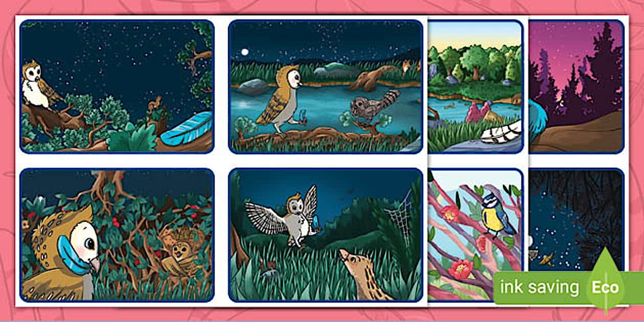 A Tale of Two Feathers Story Sequencing Cards (teacher made)