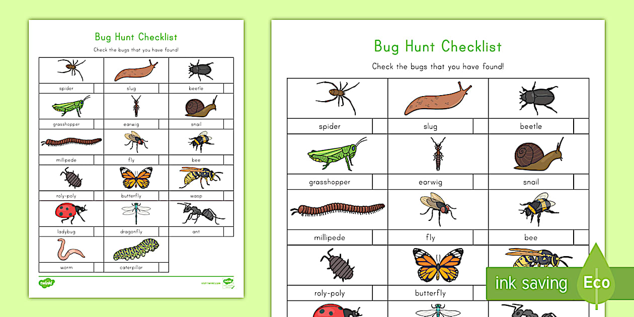 Bug Scavenger Hunt Printable (teacher made) - Twinkl