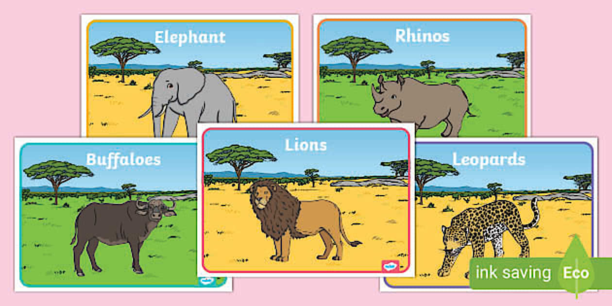 The Big Five African Animals Class Group Signs - - Twinkl