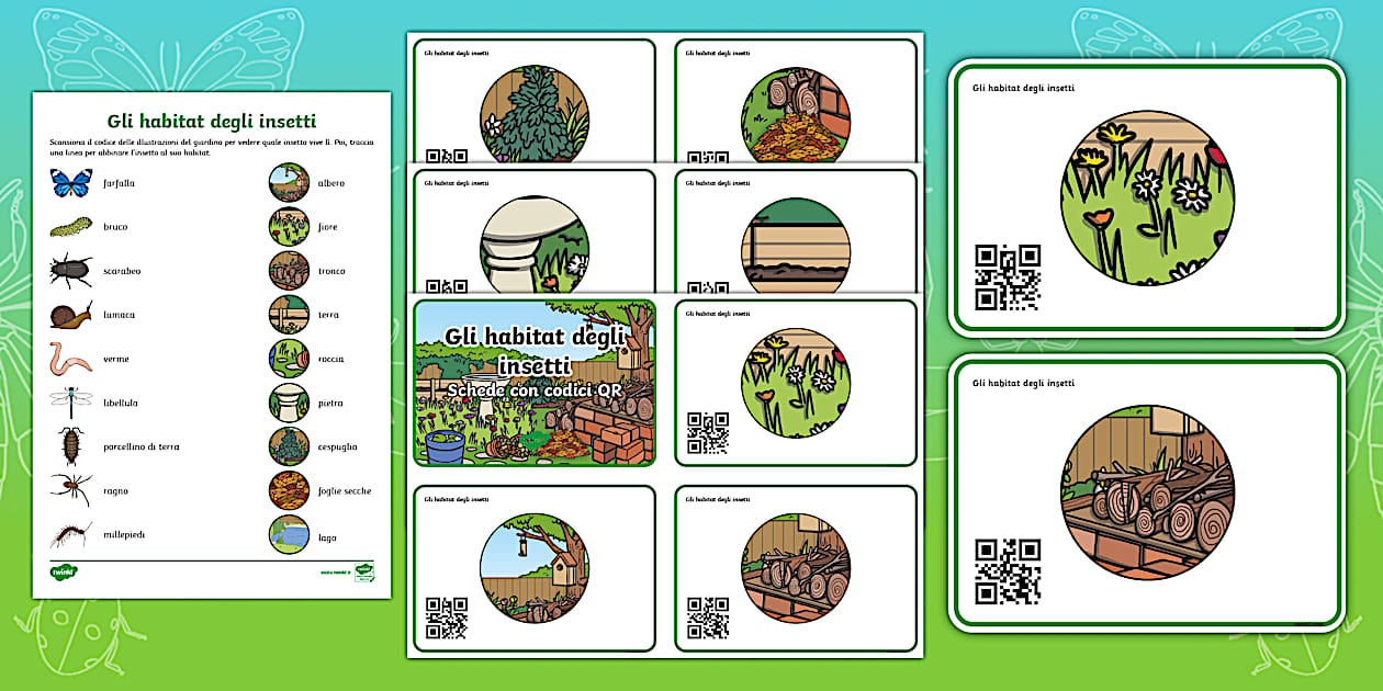 Usiamo i codici QR per scoprire gli habitat degli insetti